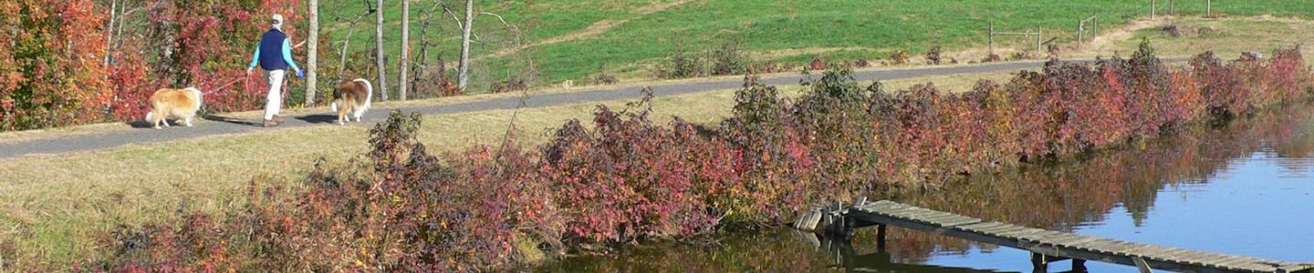 Trails and River Info - Dan River Basin Association - Dan River Basin ...