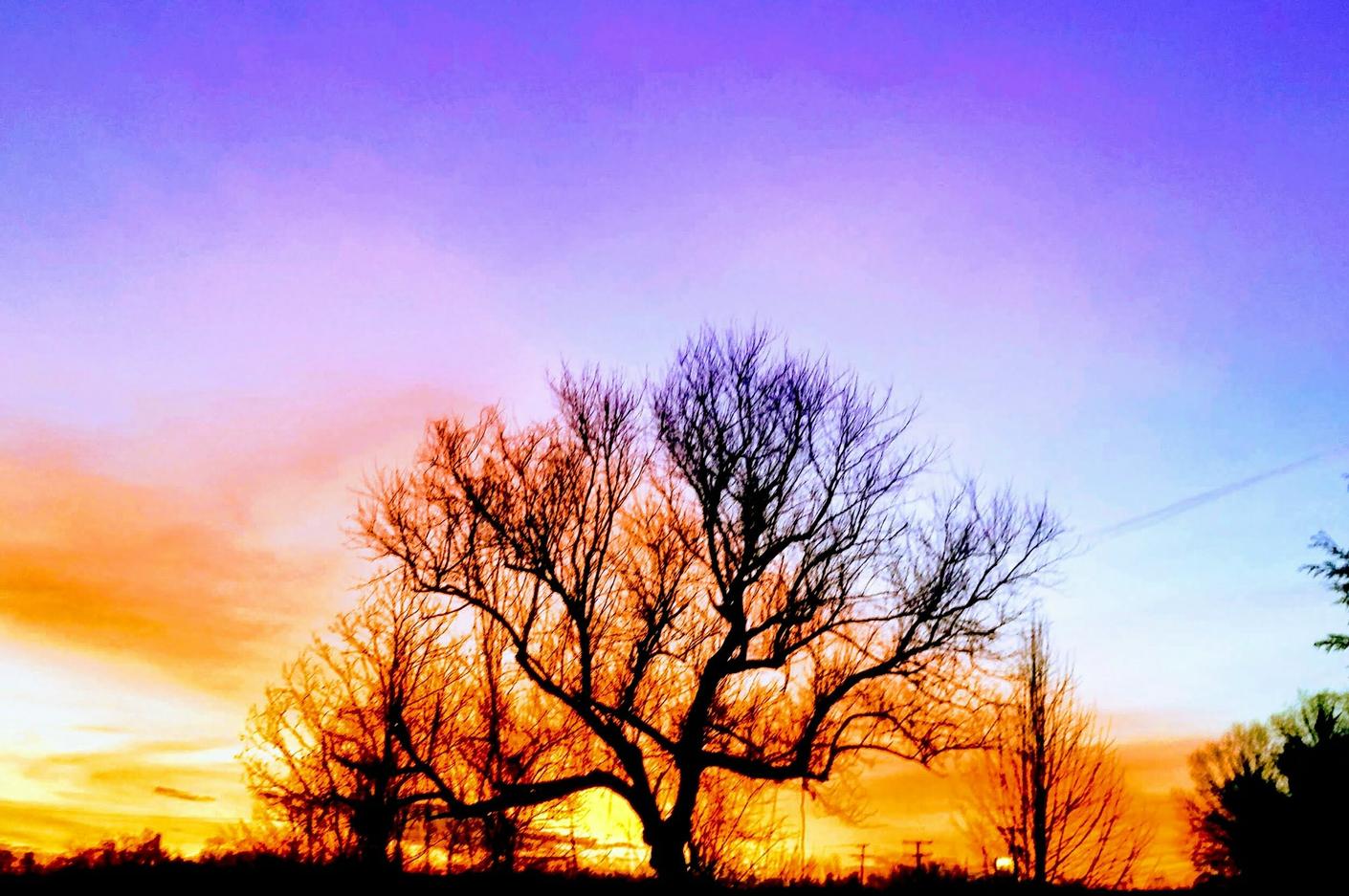 Dan River Basin Association - Dan River Basin Association