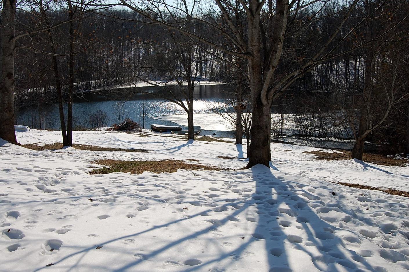 Dan River Basin Association - Dan River Basin Association