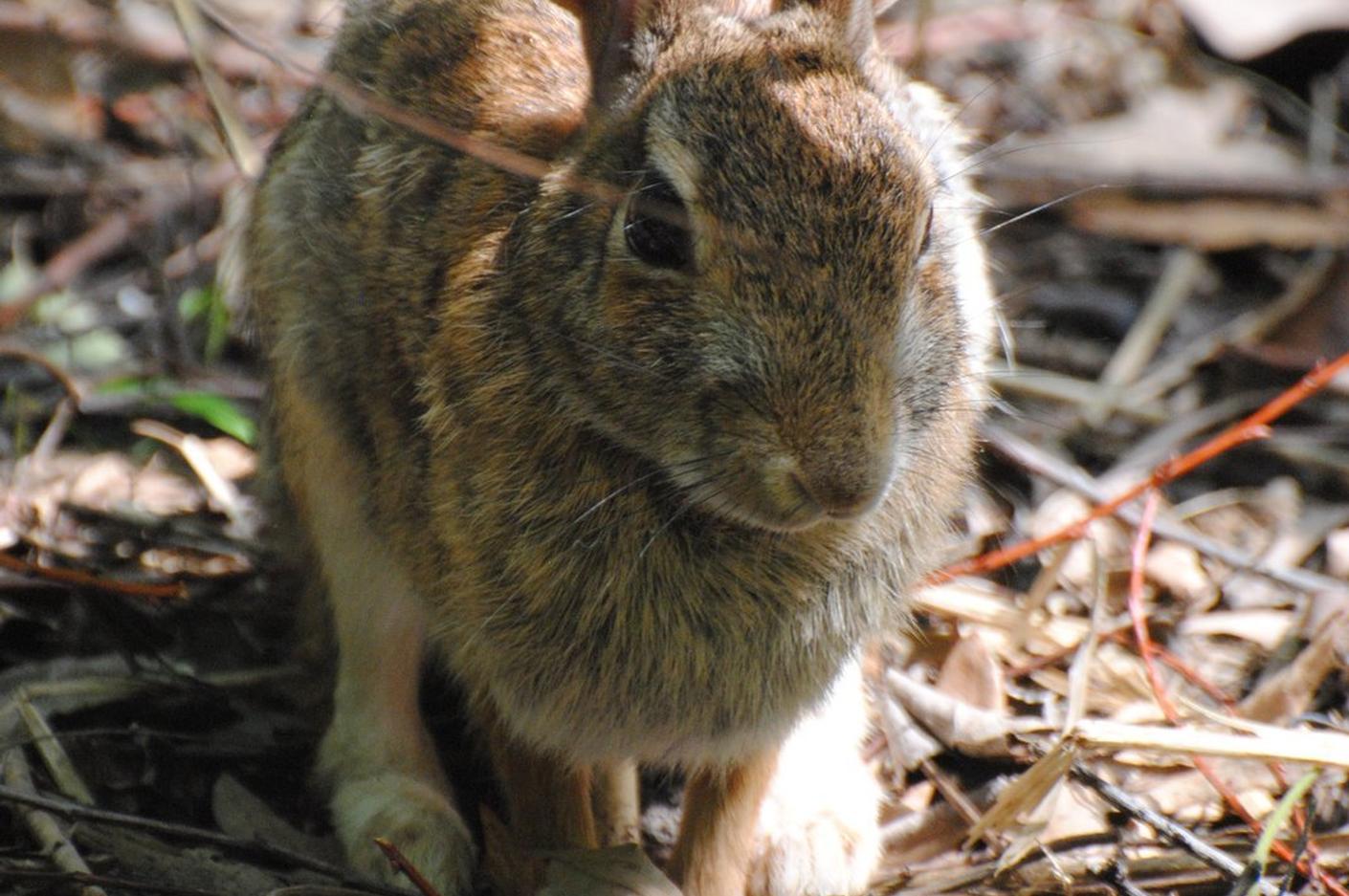 Dan River Basin Association - Dan River Basin Association
